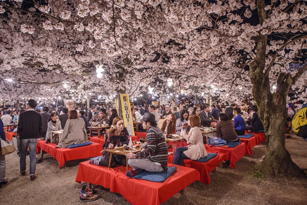 What is Hanami in Japan? – Just Japan Stuff