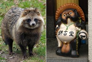 Japanese Yōkai Spotlight: The Tanuki – Just Japan Stuff